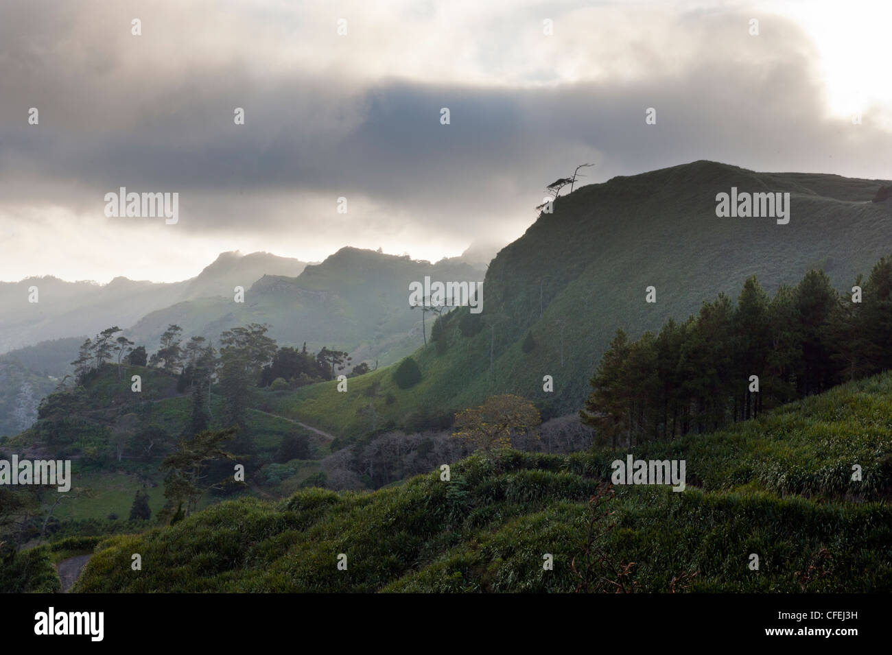 St helena landscape -Fotos und -Bildmaterial in hoher Auflösung – Alamy