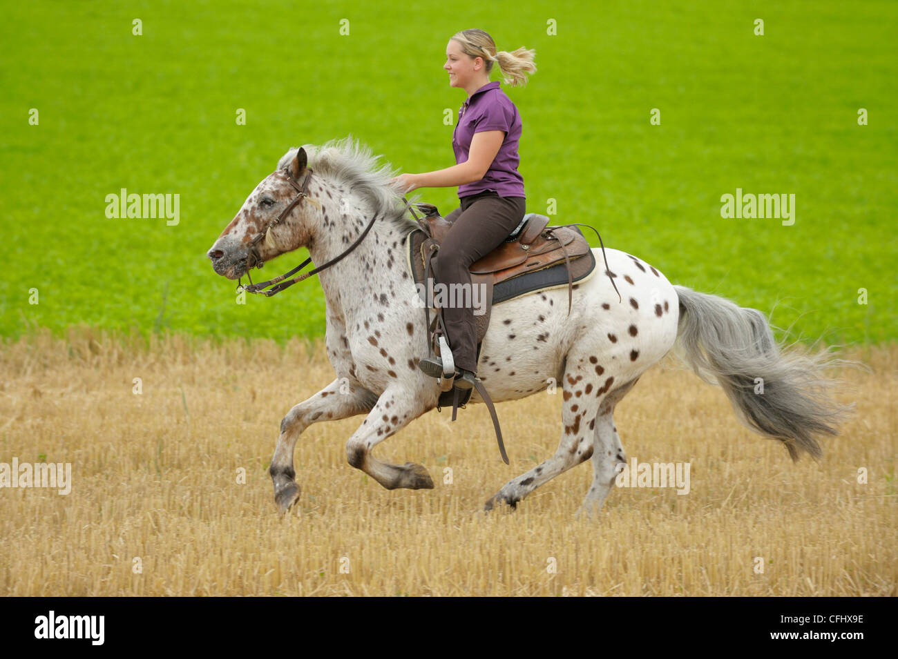 Frau reiten galopp westlichen -Fotos und -Bildmaterial in hoher Auflösung – Alamy