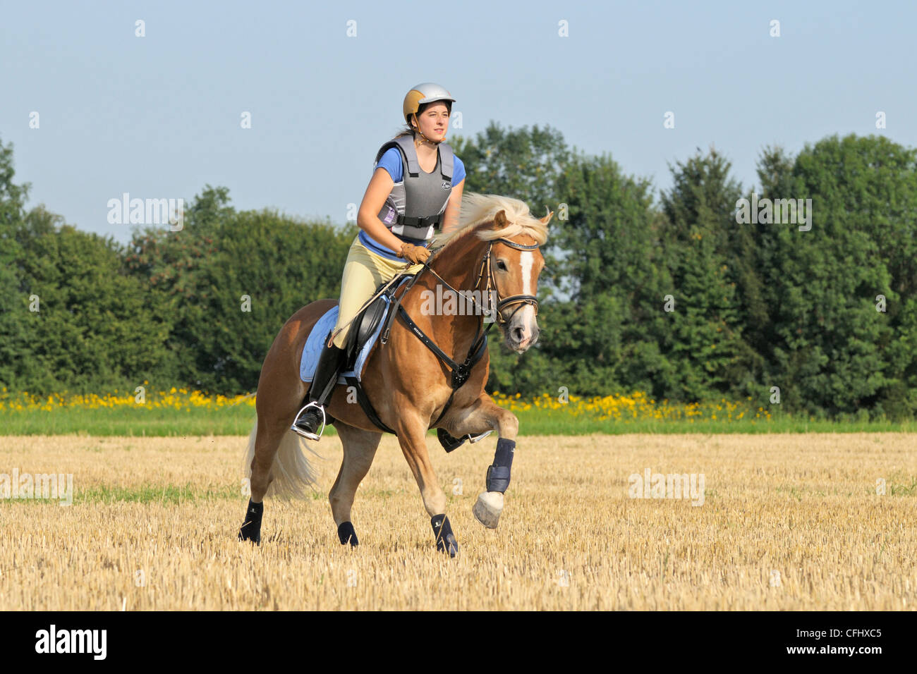 Reiter galoppieren im galopp -Fotos und -Bildmaterial in hoher Auflösung - Seite 2 - Alamy