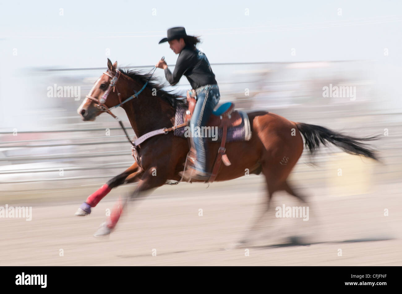 Alberta rodeo -Fotos und -Bildmaterial in hoher Auflösung – Alamy
