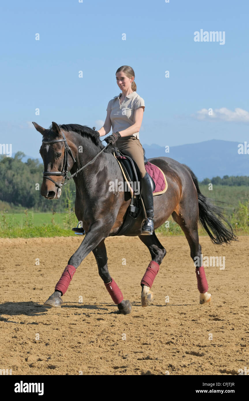 Dressage rider riding on german -Fotos und -Bildmaterial in hoher ...