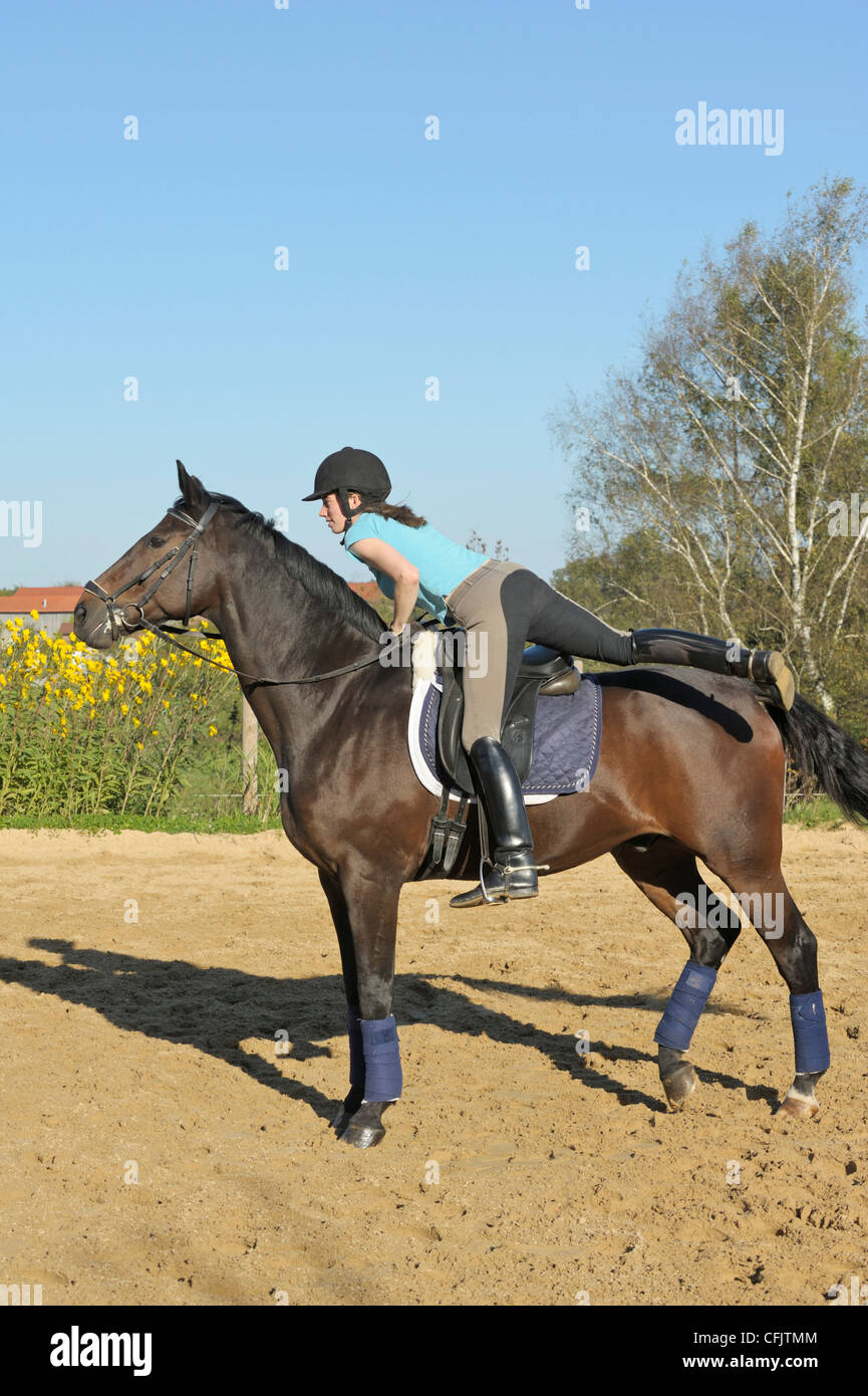 Dein pferd besteigen -Fotos und -Bildmaterial in hoher Auflösung – Alamy