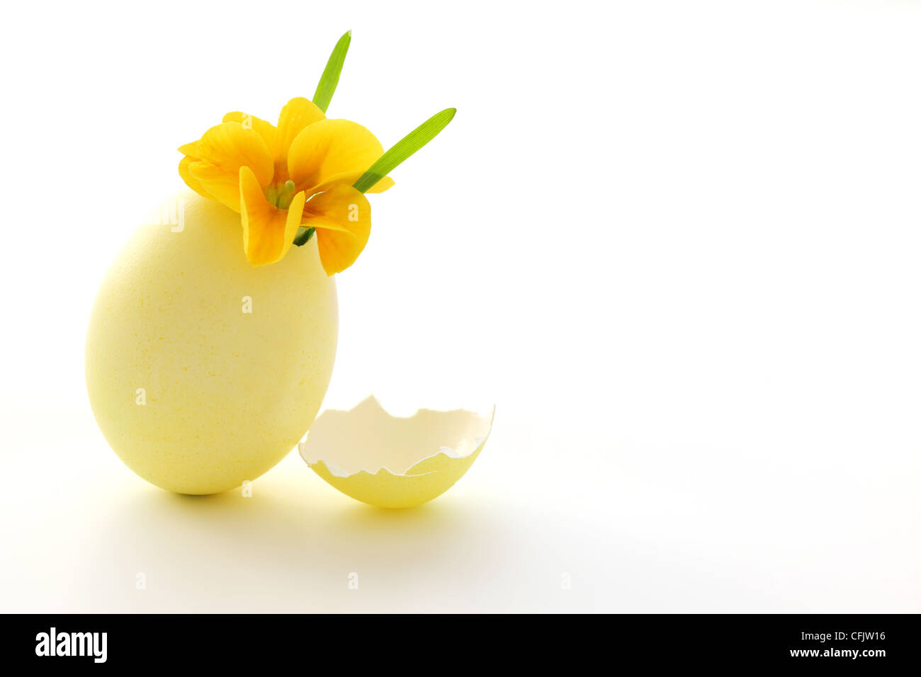 Easter egg -Fotos und -Bildmaterial in hoher Auflösung – Alamy
