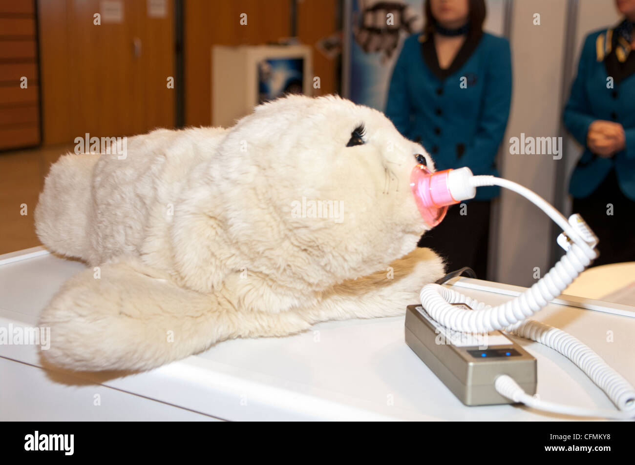 Paro robot -Fotos und -Bildmaterial in hoher Auflösung – Alamy
