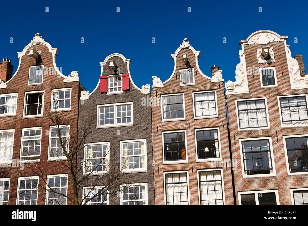 Hauser In Holland
