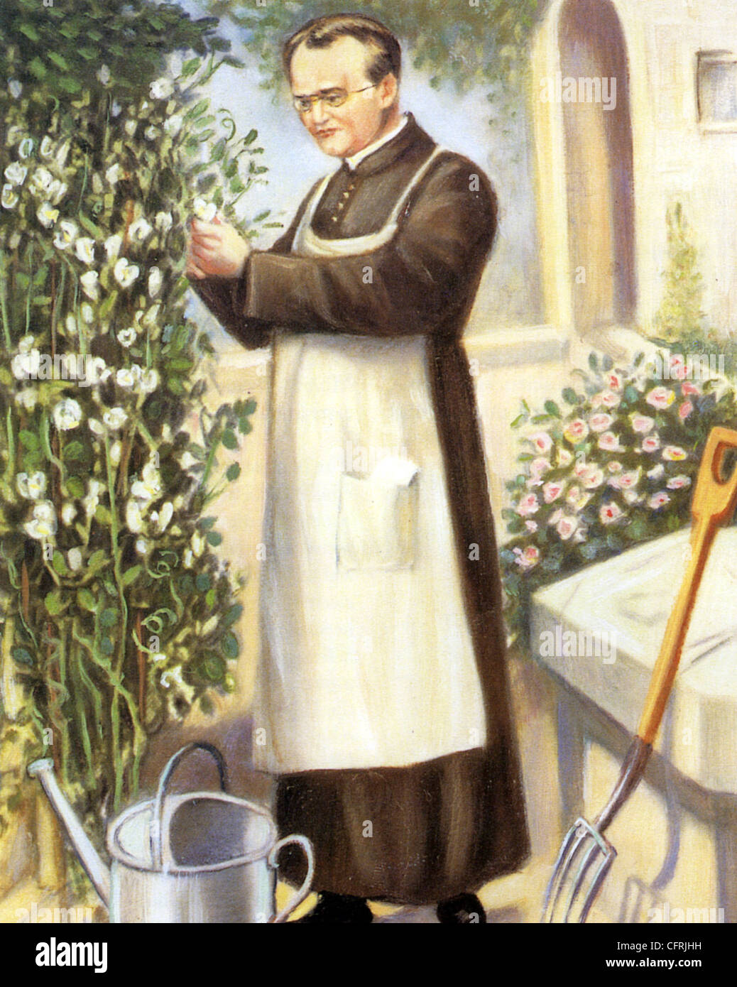 GREGOR MENDEL (1822-1884), österreichischer Mönch und Wissenschaftler ...