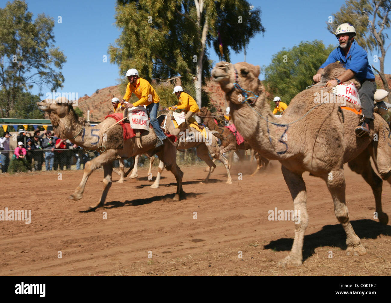 Alice springs australia camel race -Fotos und -Bildmaterial in hoher ...