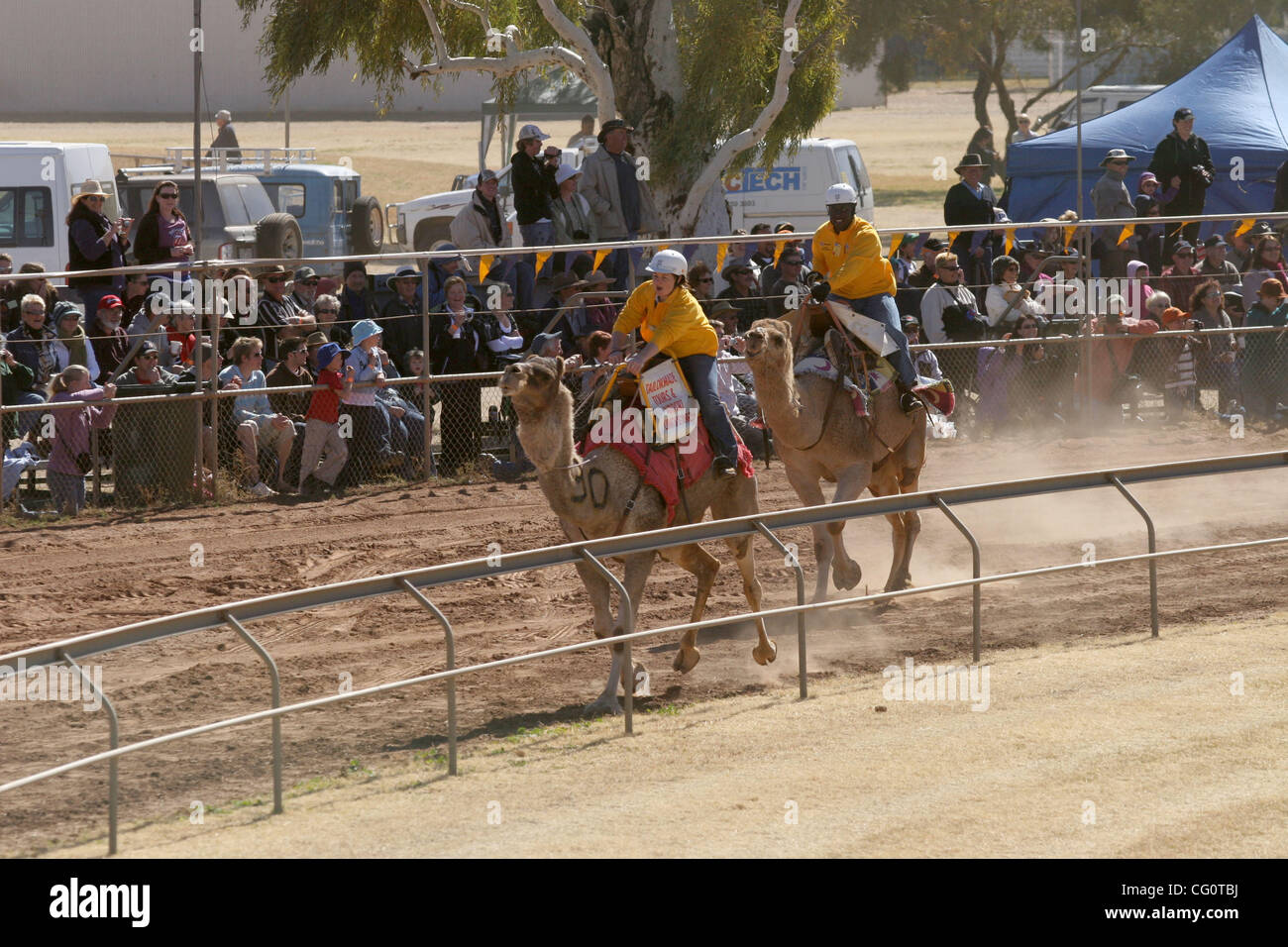 Alice springs australia camel race -Fotos und -Bildmaterial in hoher ...
