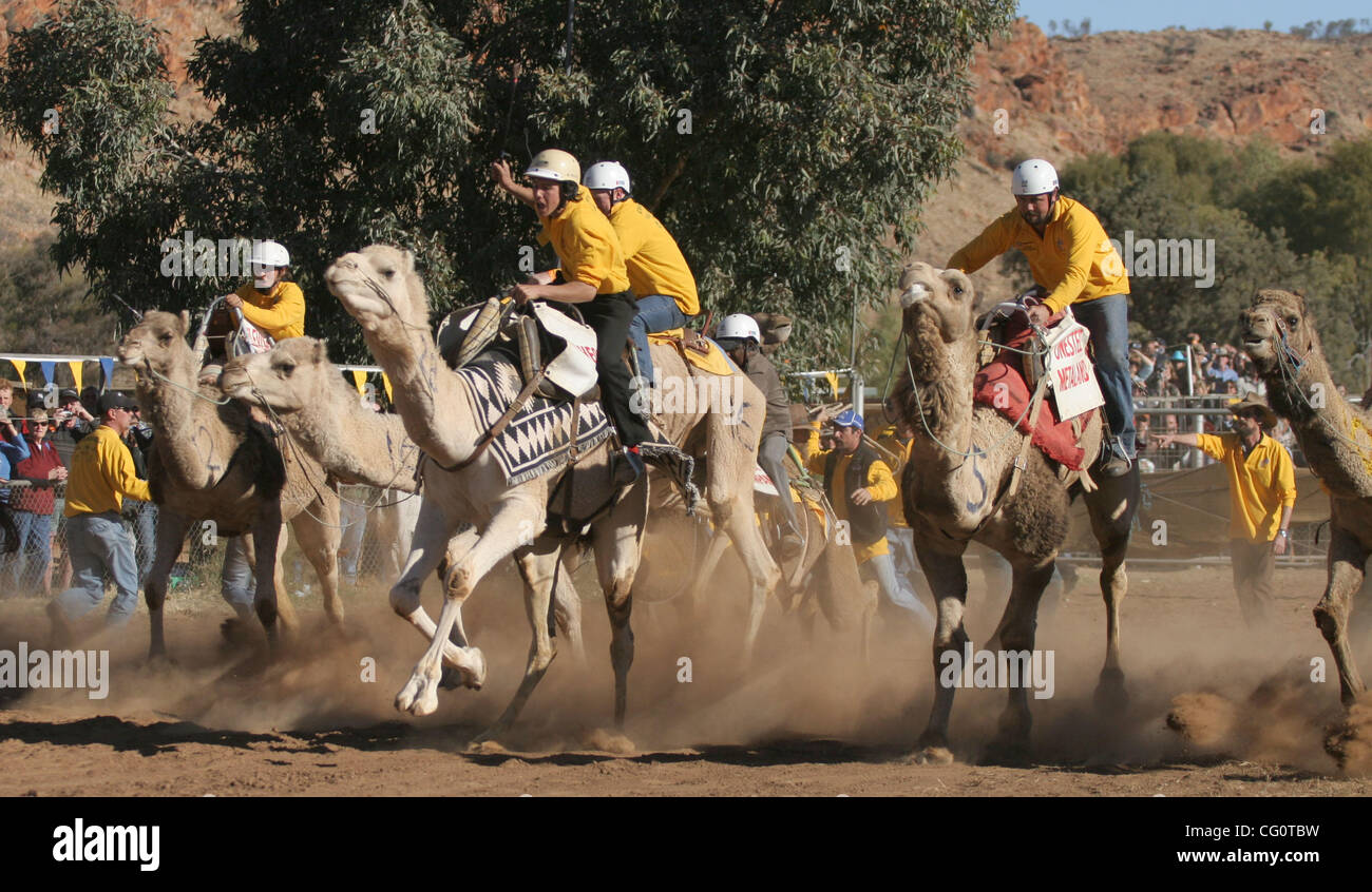 Alice springs australia camel race -Fotos und -Bildmaterial in hoher ...