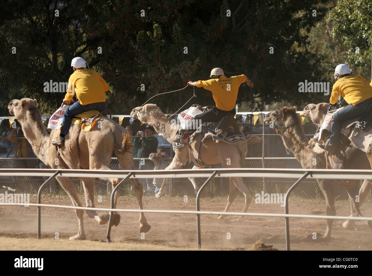 Alice springs australia camel race -Fotos und -Bildmaterial in hoher ...
