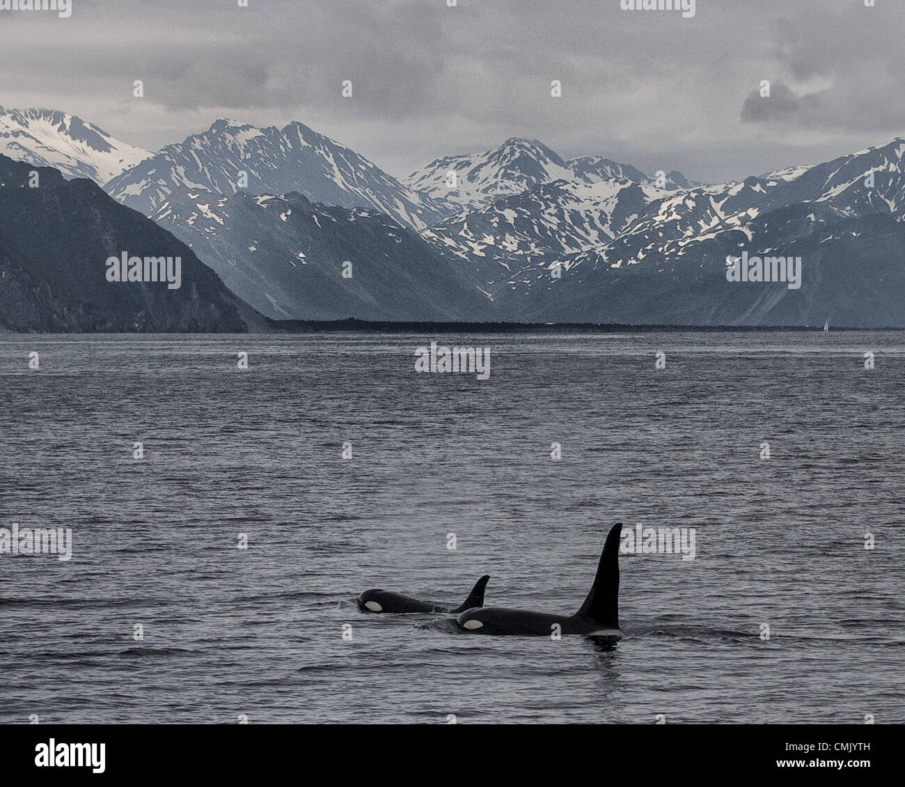 Exxon valdez ölpest -Fotos und -Bildmaterial in hoher Auflösung – Alamy