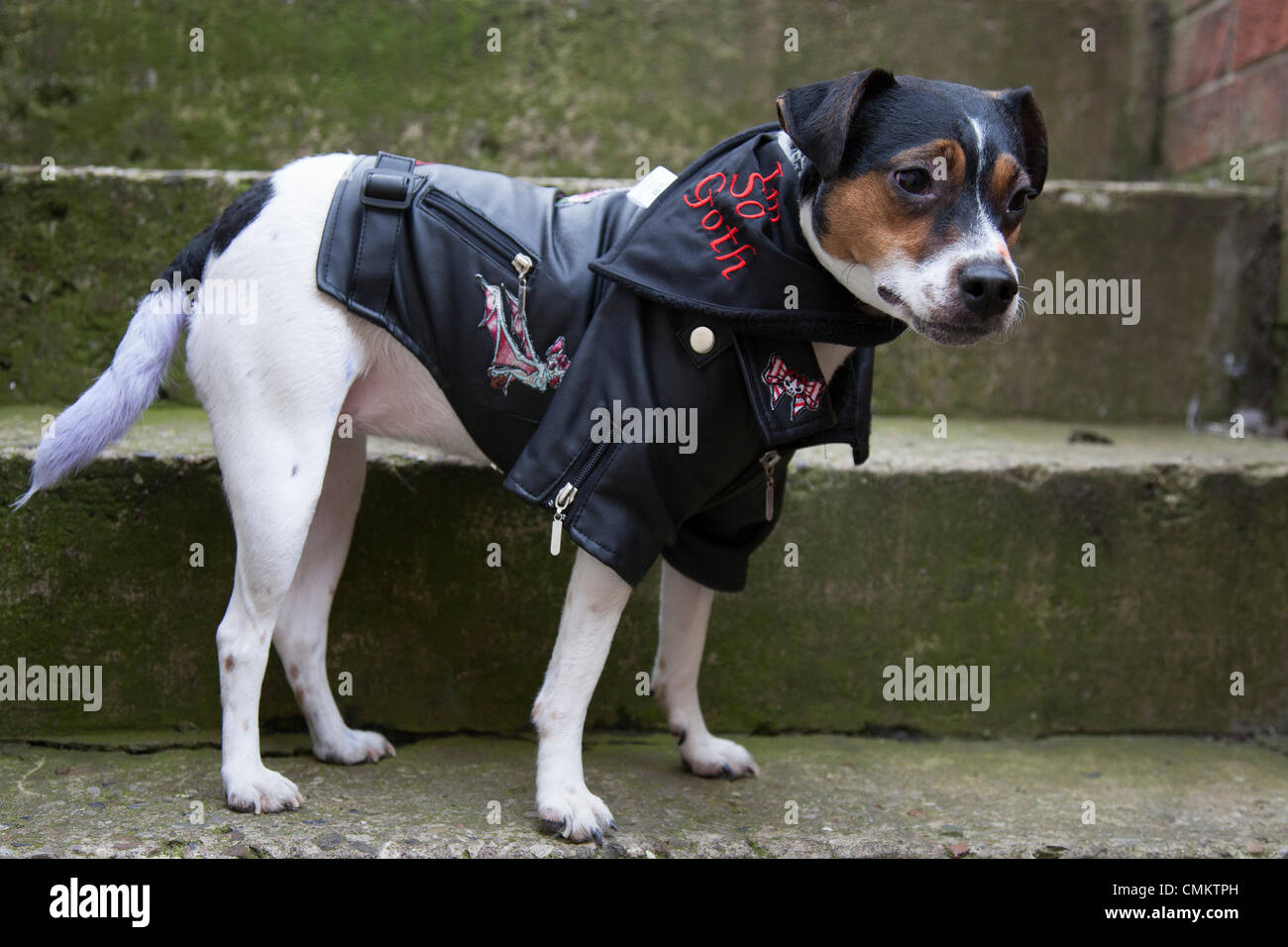 Gothic schriftzug -Fotos und -Bildmaterial in hoher Auflösung – Alamy