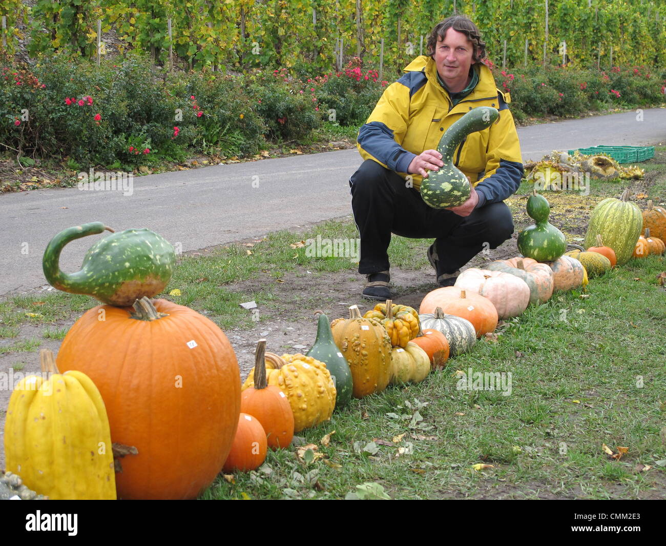 Alexander stark -Fotos und -Bildmaterial in hoher Auflösung – Alamy