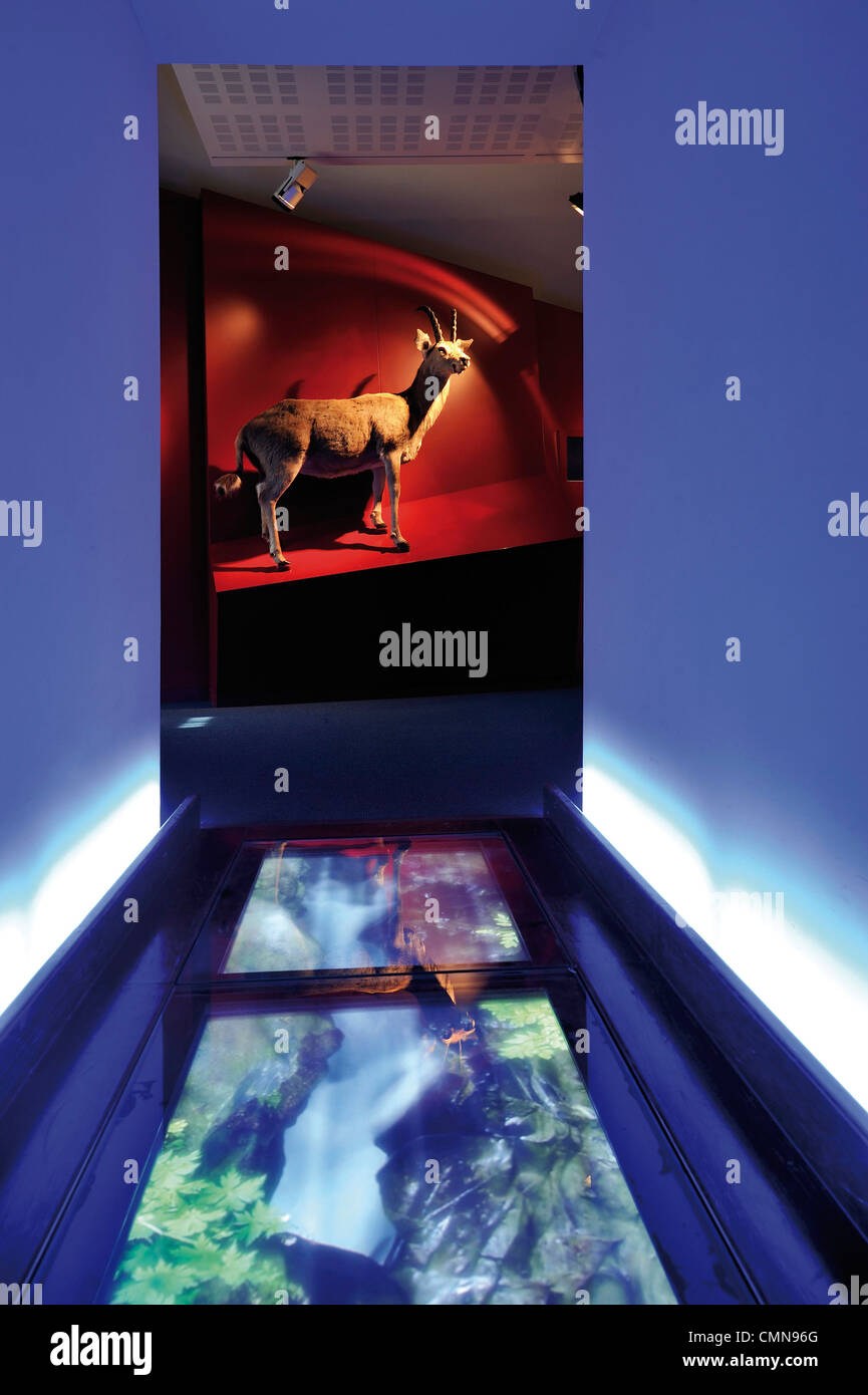 Barde fort festung museum berglandschaft valle d aosta burg -Fotos und ...