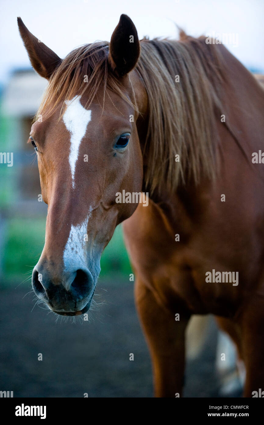 Brauner sonnenuntergang -Fotos und -Bildmaterial in hoher Auflösung – Alamy