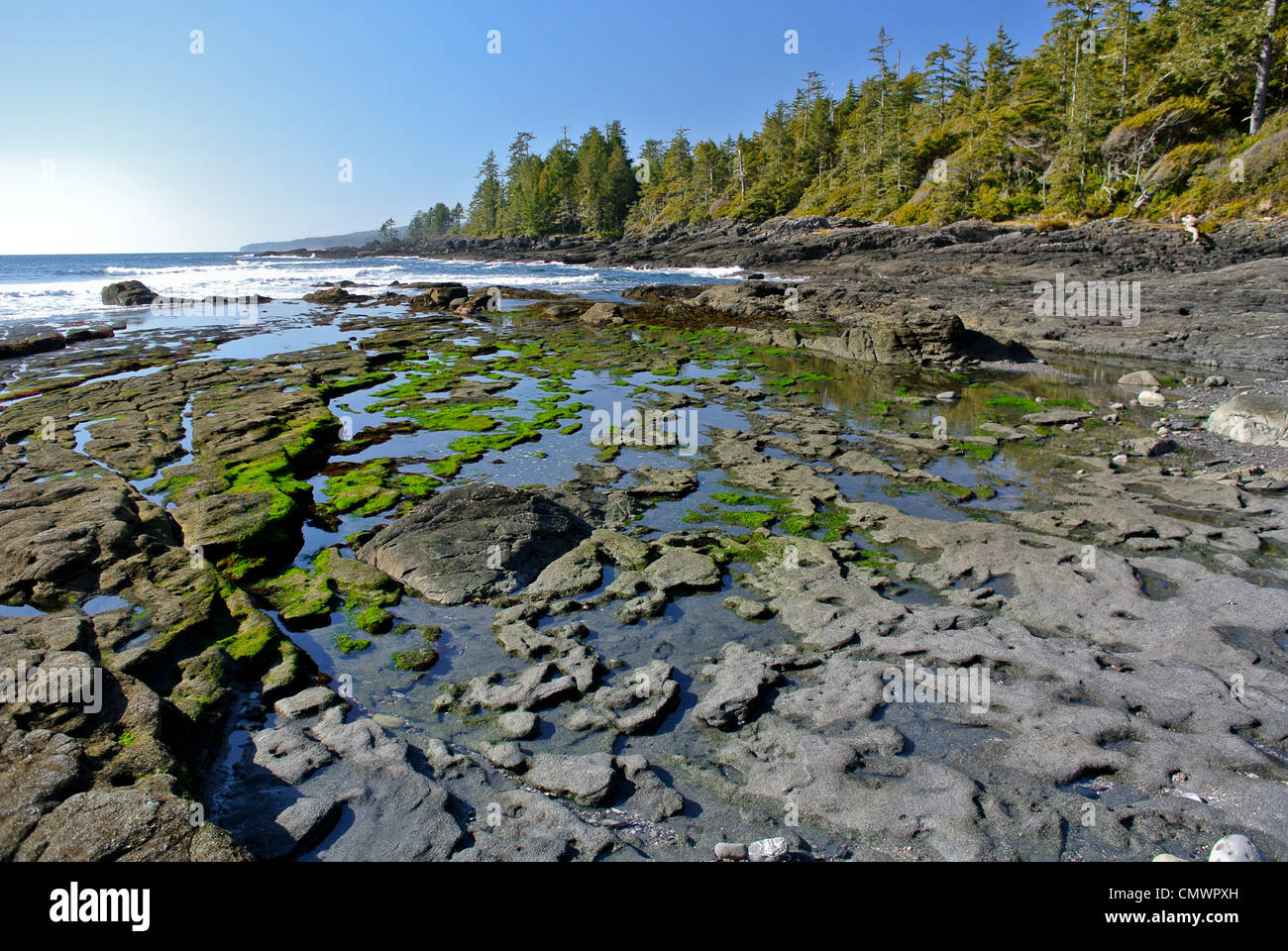 Botanical beach provincial park -Fotos und -Bildmaterial in hoher ...