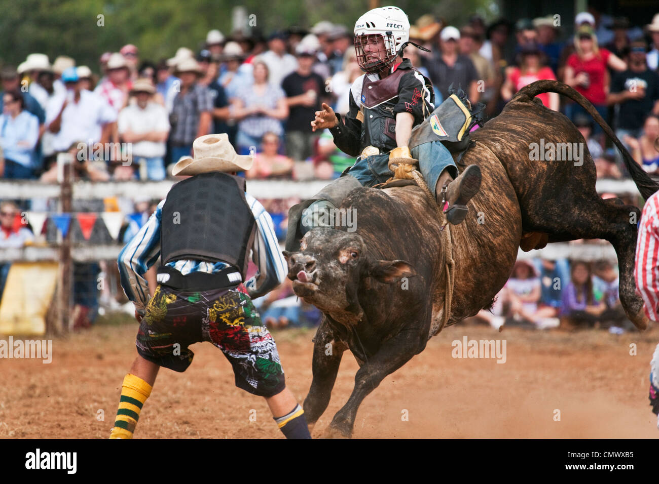 Bull Riding Bullriding Rodeo Stockfotos und -bilder Kaufen - Alamy