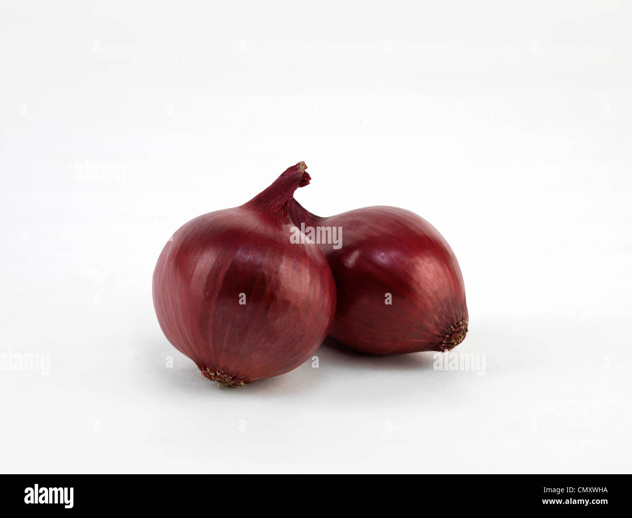Die zwiebeln Stockfotos und -bilder Kaufen - Alamy