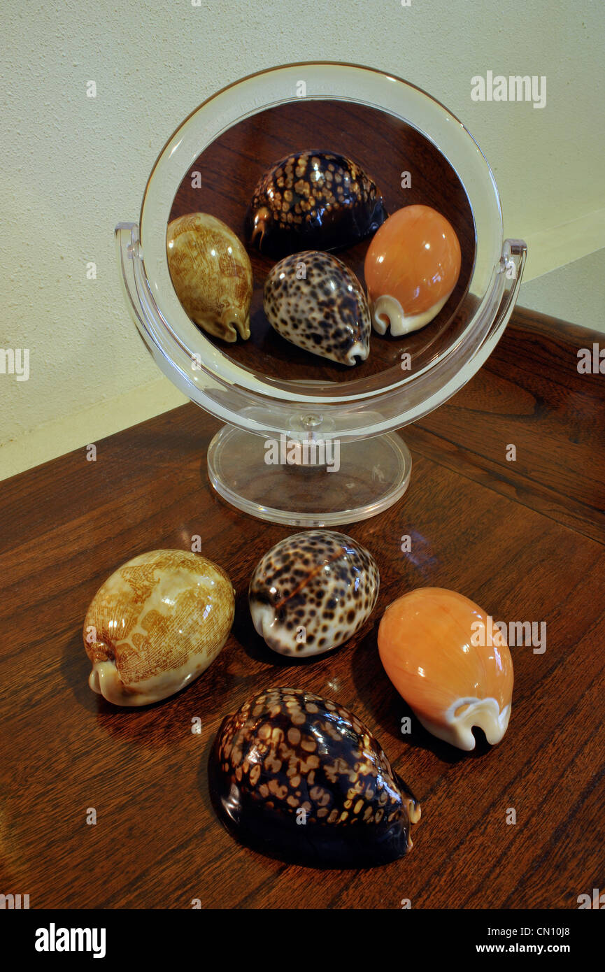 Mappa di palawan -Fotos und -Bildmaterial in hoher Auflösung – Alamy