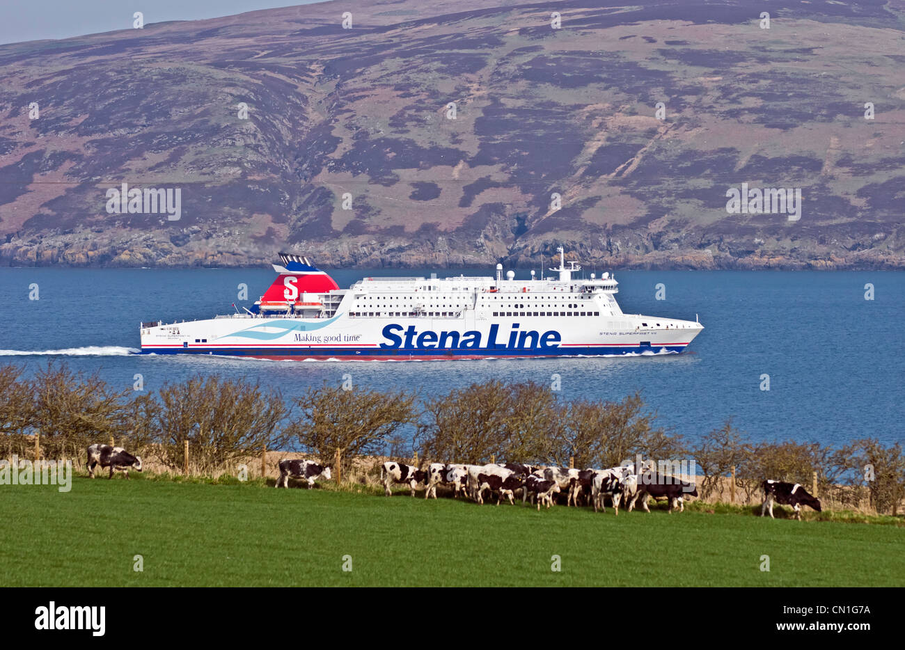 Stena roro -Fotos und -Bildmaterial in hoher Auflösung – Alamy