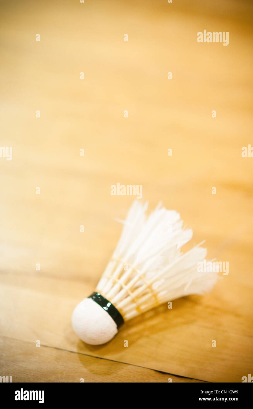 Badminton federball -Fotos und -Bildmaterial in hoher Auflösung – Alamy
