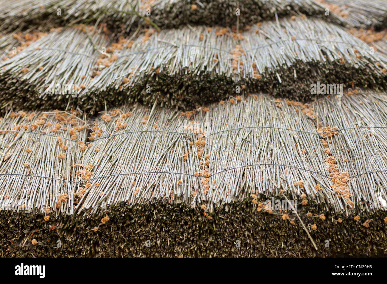 Traditional thatching -Fotos und -Bildmaterial in hoher Auflösung – Alamy