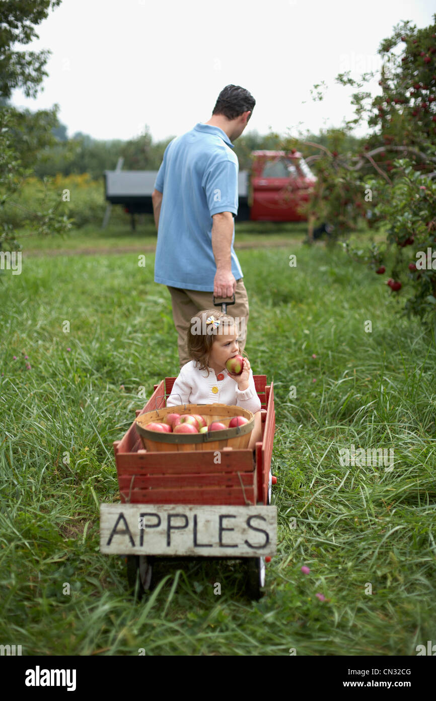 Junger mann zieht wagen -Fotos und -Bildmaterial in hoher Auflösung – Alamy