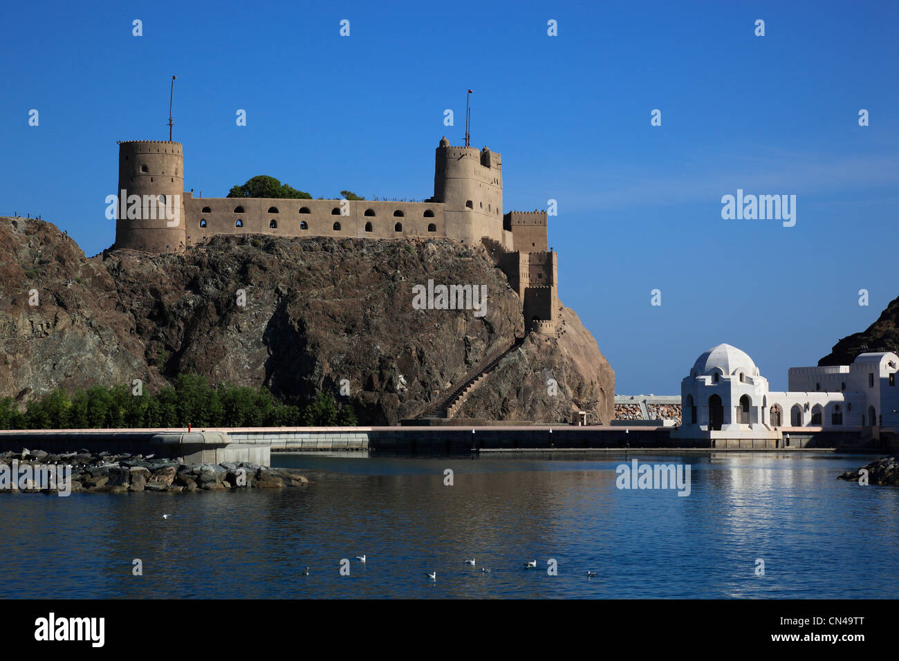 Jalali Fort, Muscat, Oman Stockfotografie - Alamy