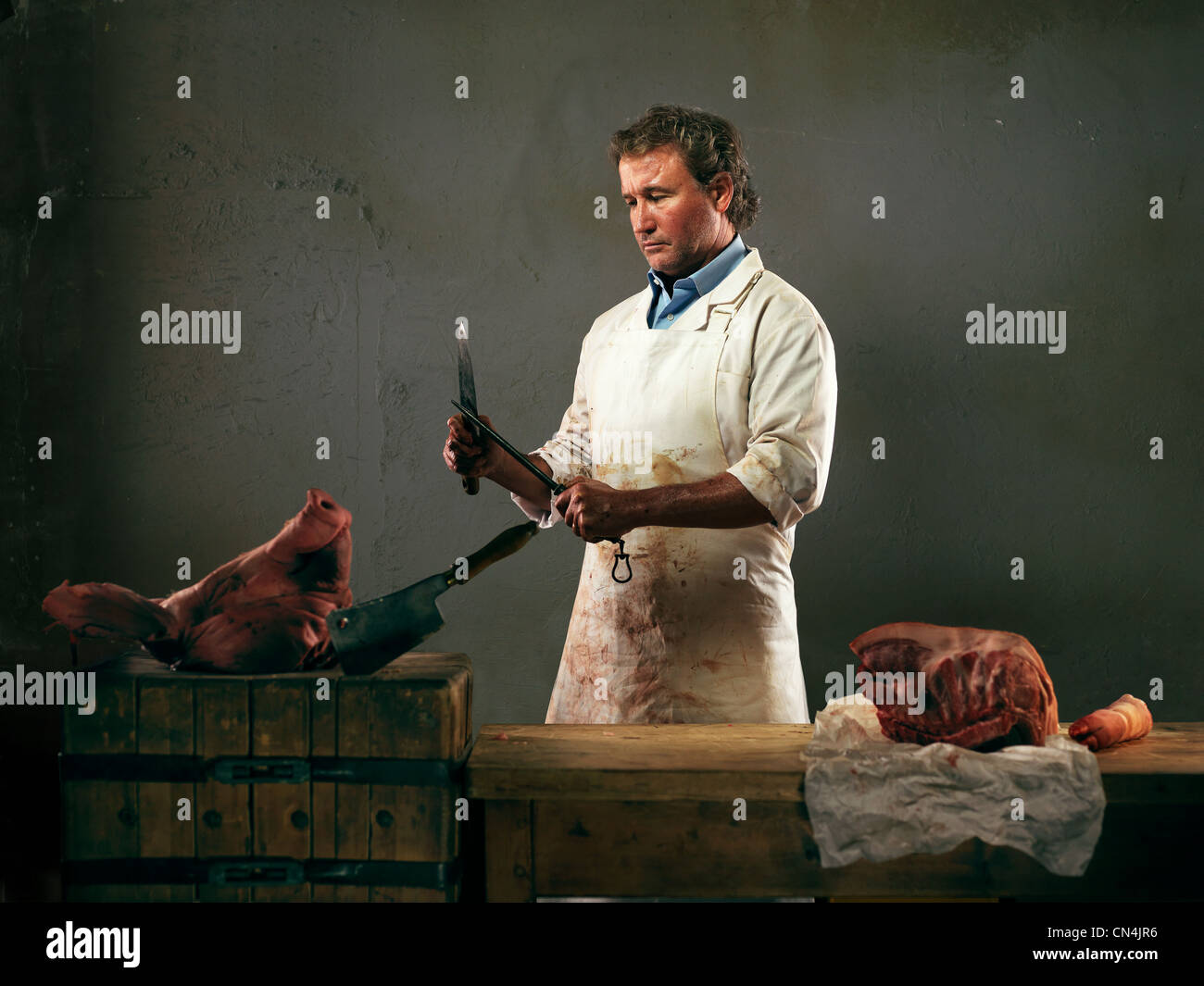 Schweine anatomie -Fotos und -Bildmaterial in hoher Auflösung – Alamy