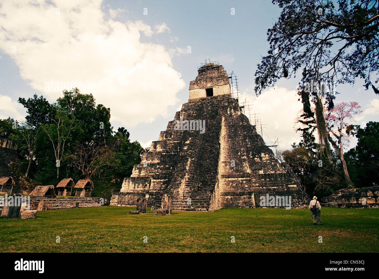 Tempel I bei den Maya-Stätte Tikal in Guatemala Stockfotografie - Alamy