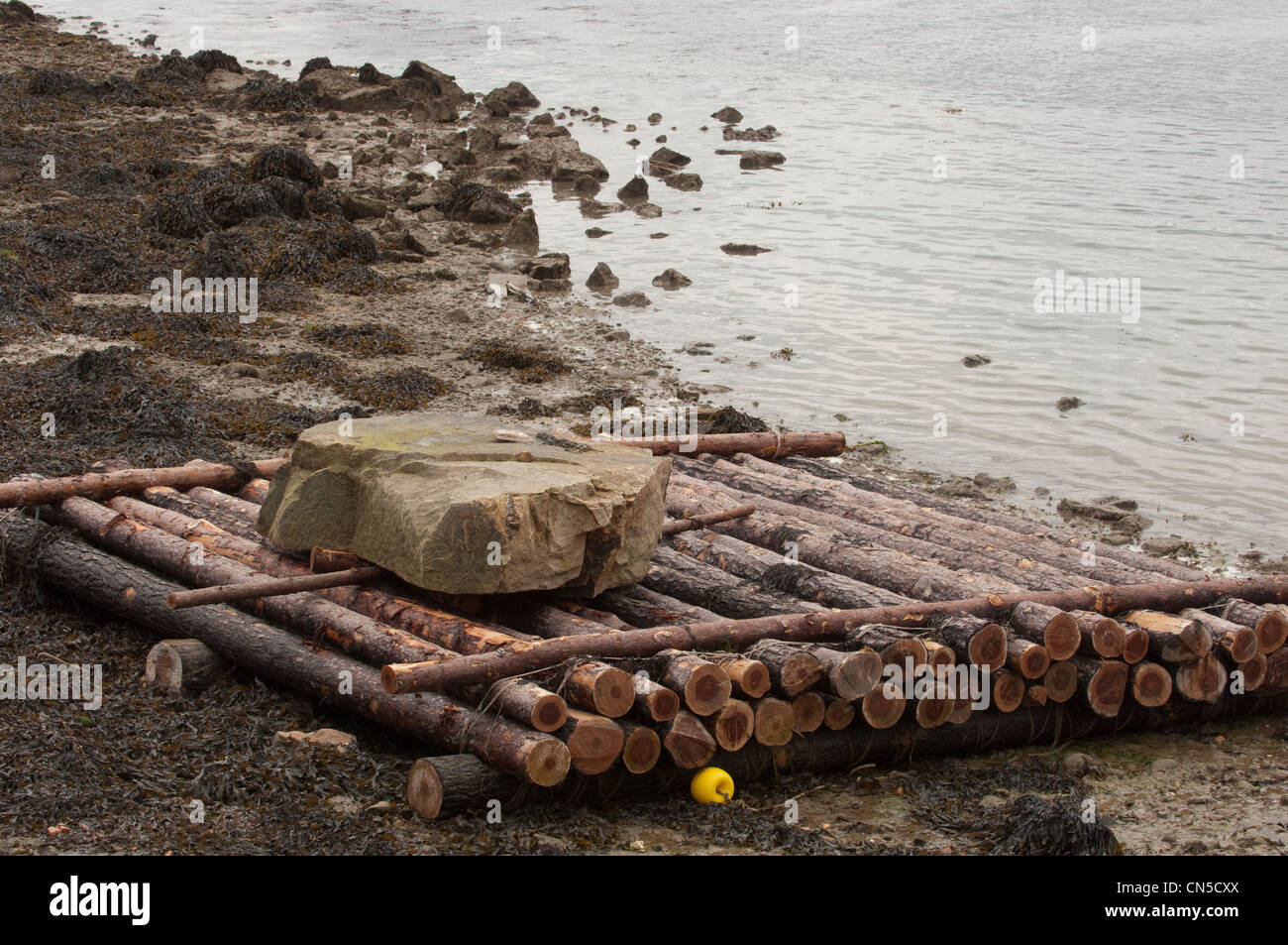 Frankreich, Morbihan, Golfe du Morbihan, Larmor-Baden, Erfahrung in der ...