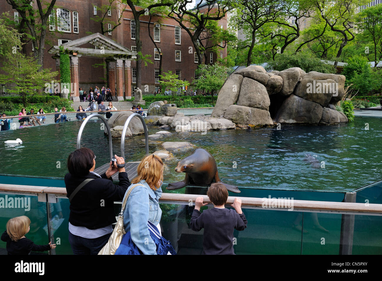 Central park zoo new york -Fotos und -Bildmaterial in hoher Auflösung ...