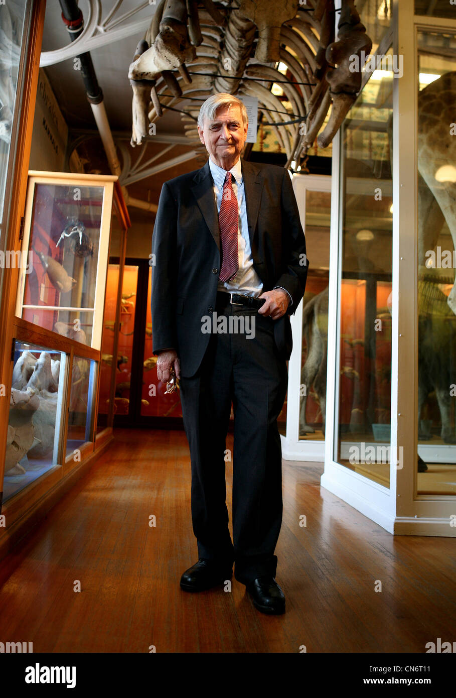 Professor wilson von harvard -Fotos und -Bildmaterial in hoher ...