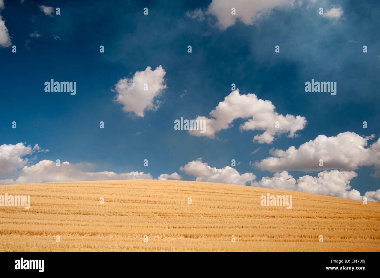 Weizenfarm Usa Stockfotos und -bilder Kaufen - Alamy