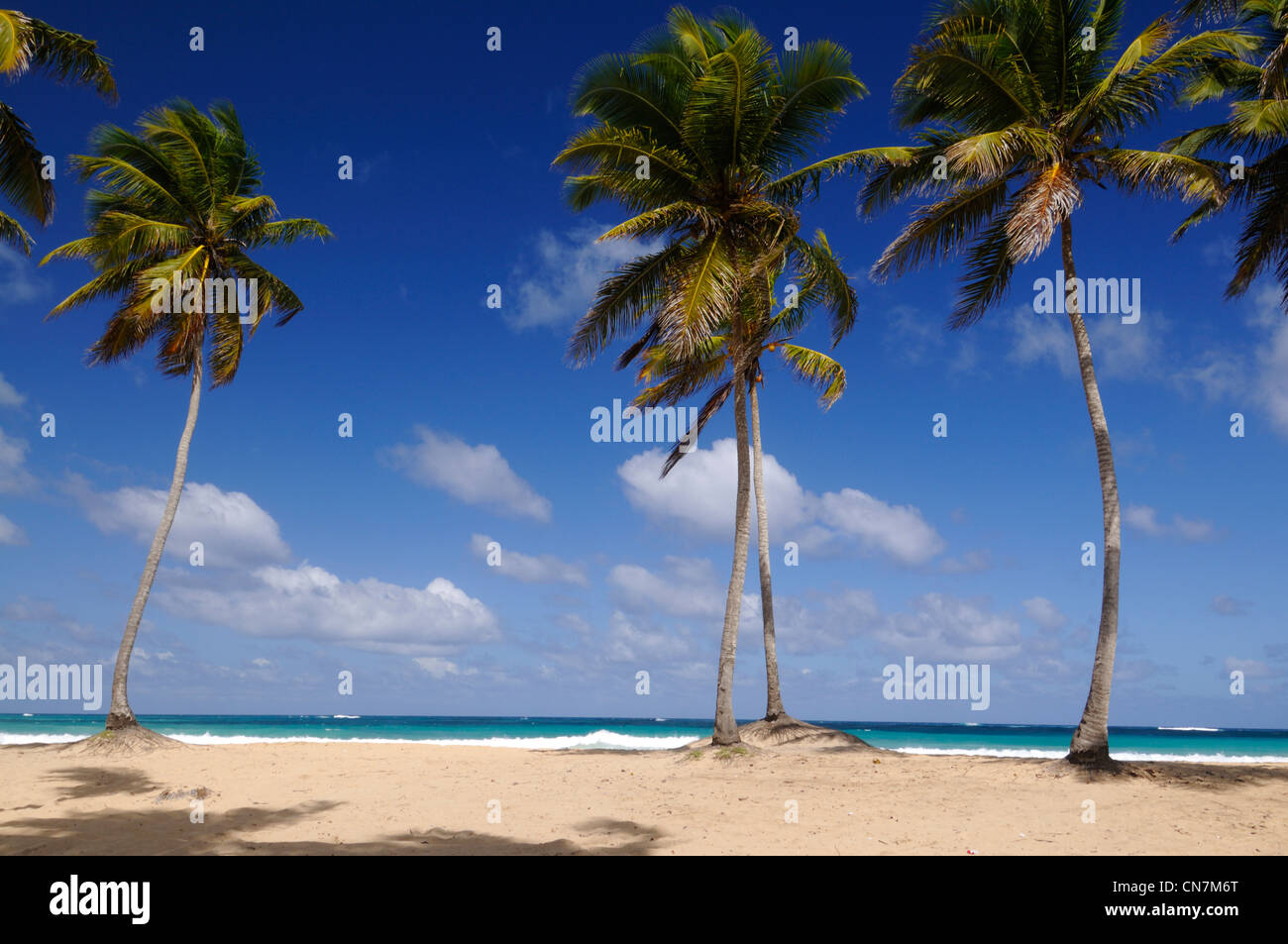 Playa Macao Beach Punta Cana Stockfotos und -bilder Kaufen - Alamy