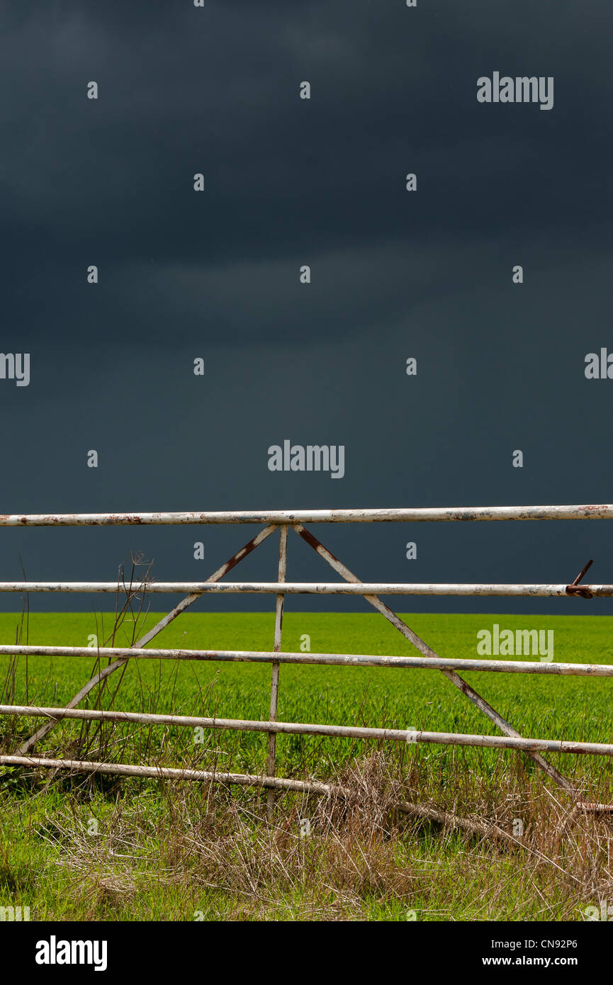 Wolken und Weizenfelder Stockfotos und -bilder Kaufen - Alamy