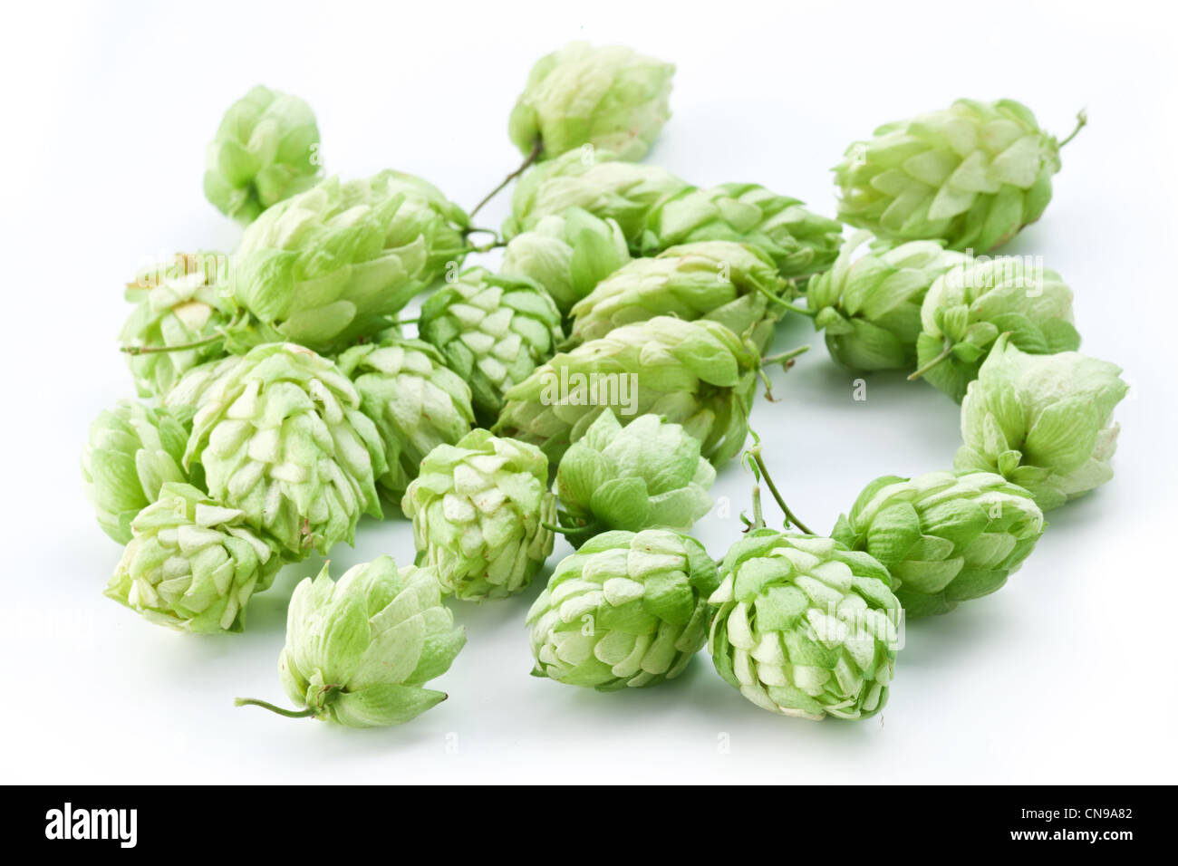 Hopfen hintergrund -Fotos und -Bildmaterial in hoher Auflösung – Alamy