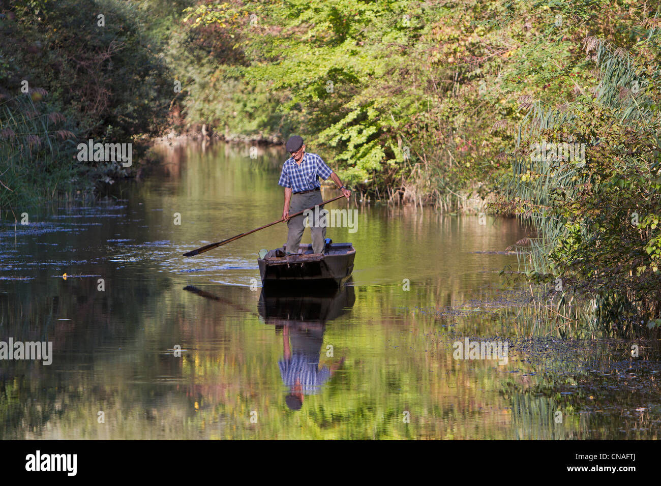 Bas wald -Fotos und -Bildmaterial in hoher Auflösung – Alamy