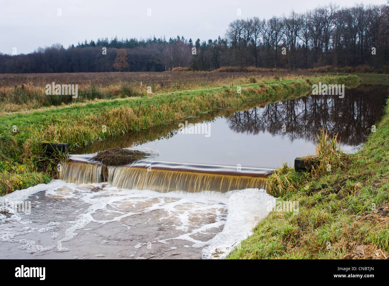 Damm in einem fluss -Fotos und -Bildmaterial in hoher Auflösung – Alamy