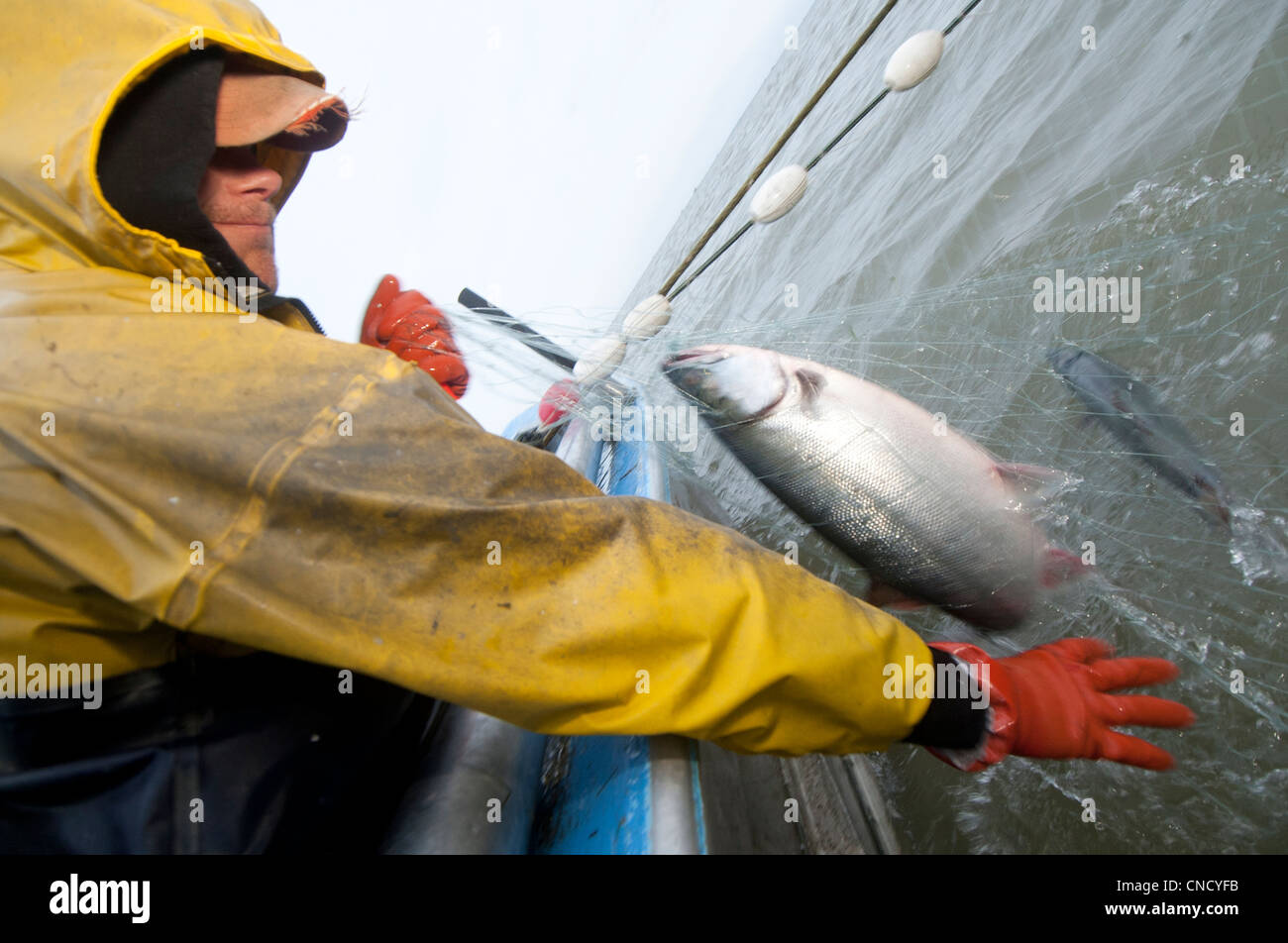 Fische In Alaska Fangen Stockfotos und -bilder Kaufen - Alamy