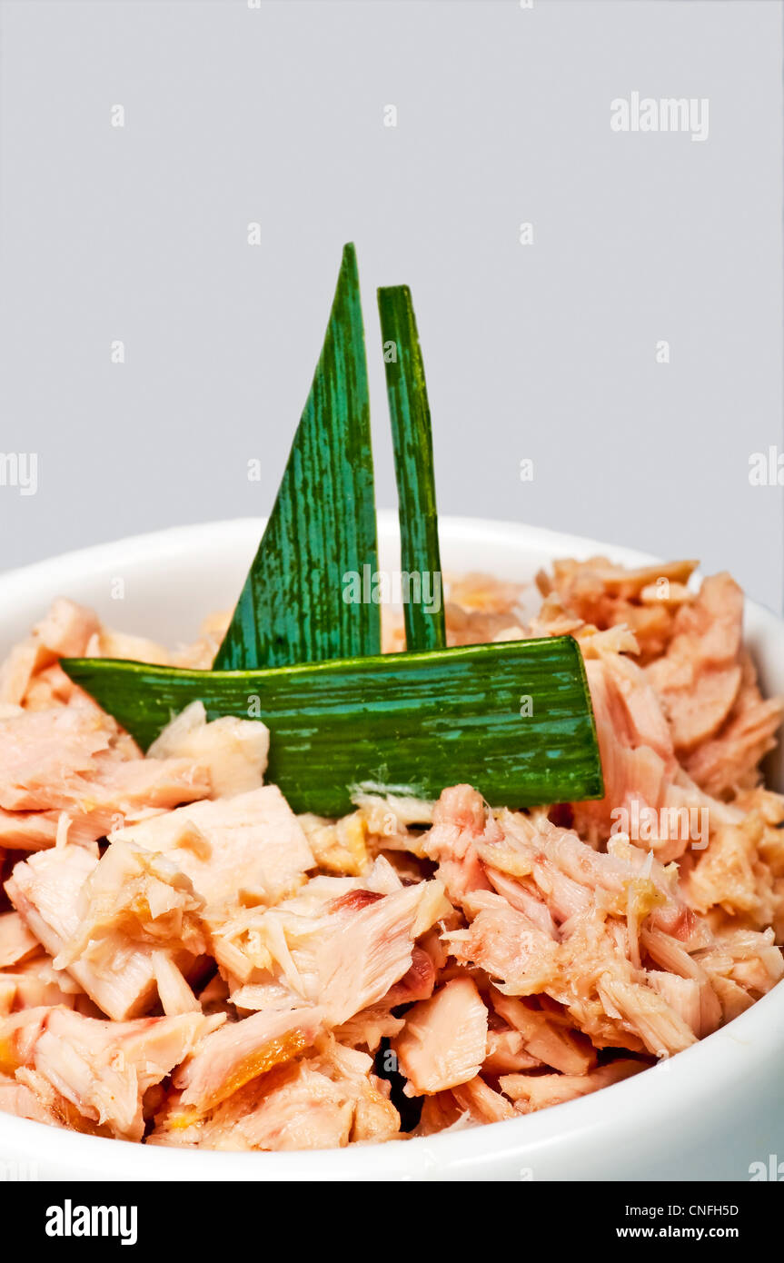 Bonito fisch -Fotos und -Bildmaterial in hoher Auflösung – Alamy