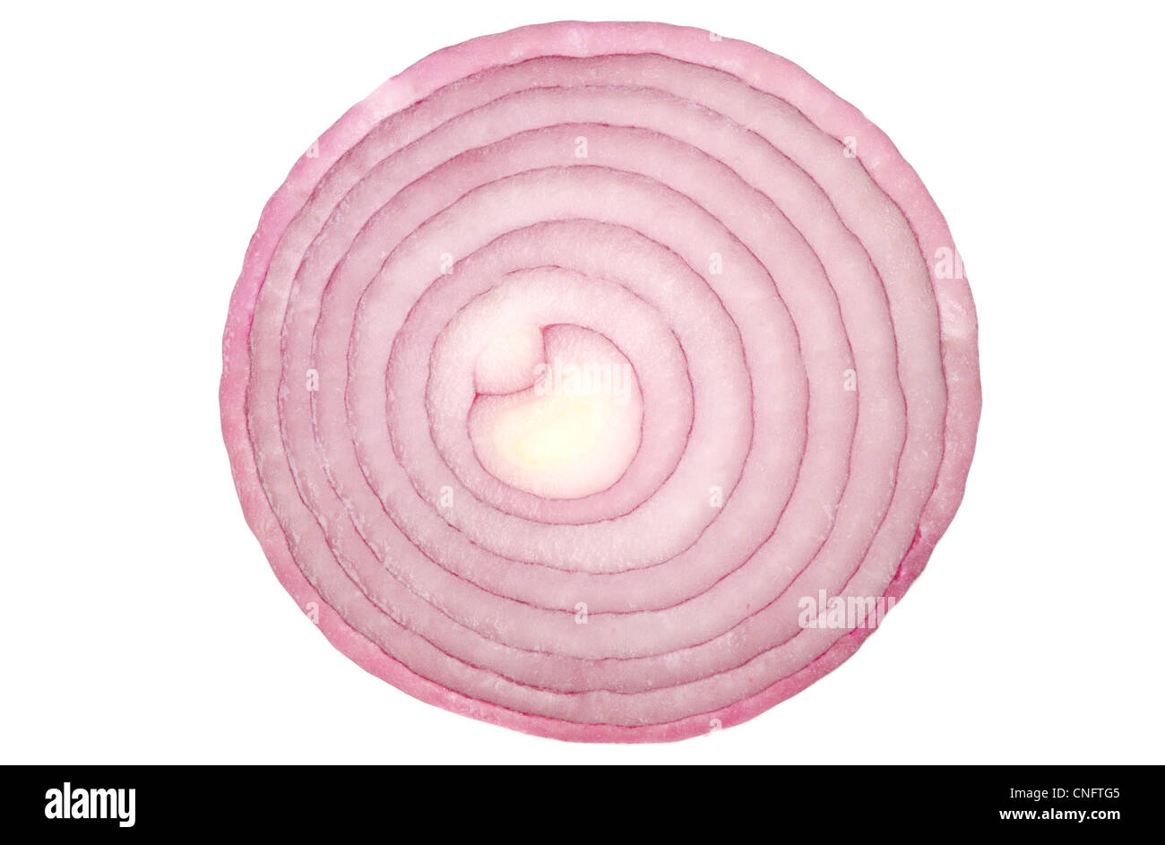 Rote zwiebel zwiebel -Fotos und -Bildmaterial in hoher Auflösung – Alamy