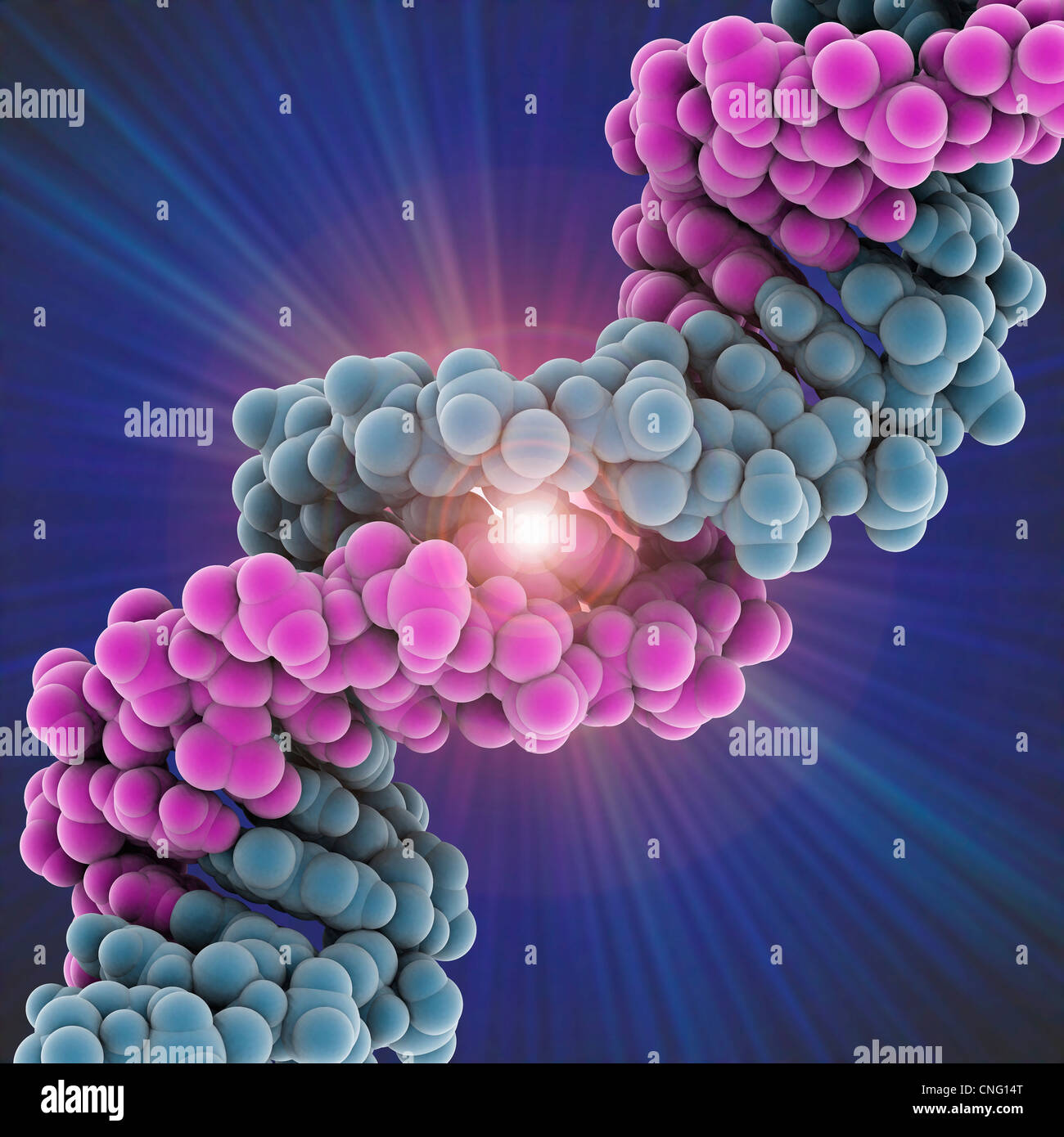 Dna faden -Fotos und -Bildmaterial in hoher Auflösung – Alamy