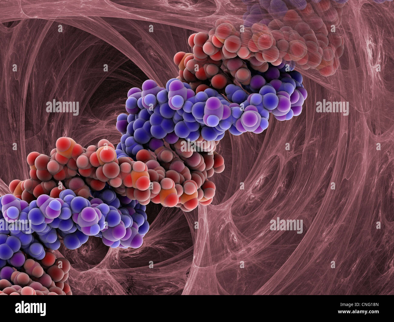 Dna faden -Fotos und -Bildmaterial in hoher Auflösung – Alamy