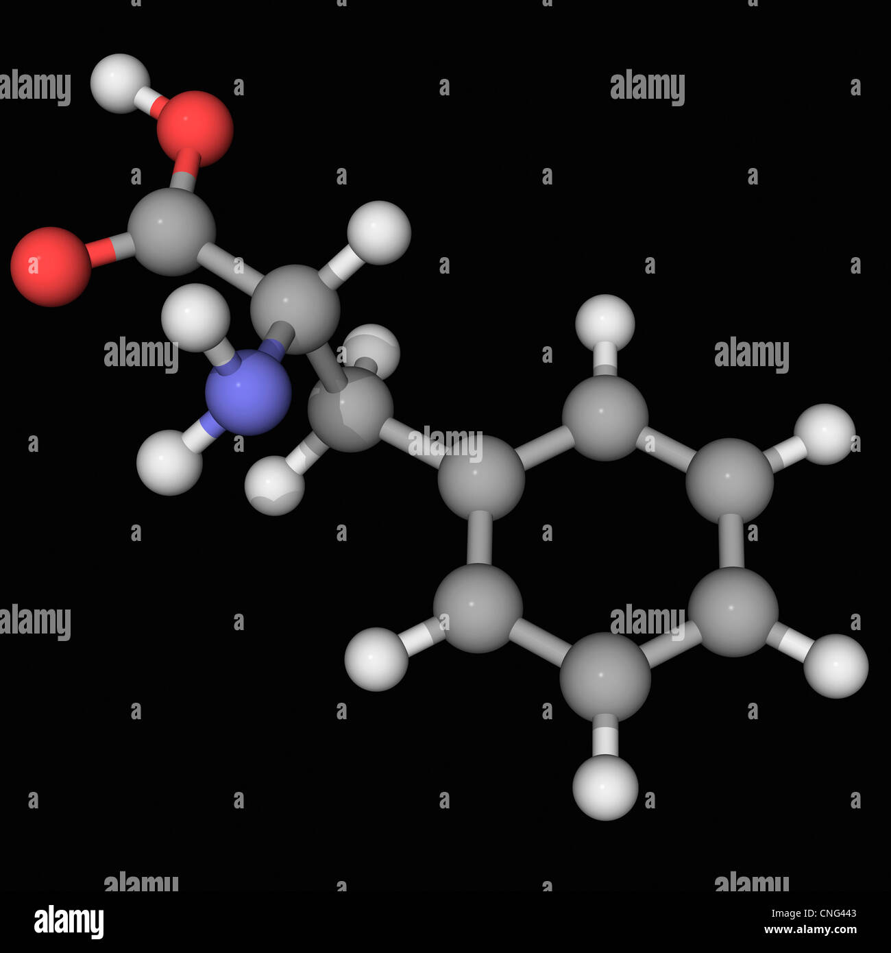 Phenylalanine amino acid molecule -Fotos und -Bildmaterial in hoher ...