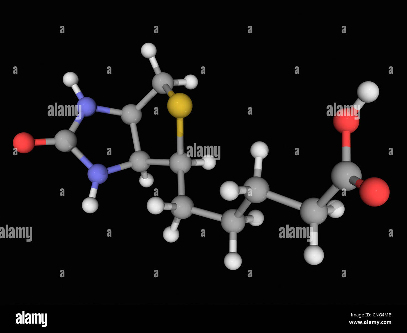 Vitamin b7 -Fotos und -Bildmaterial in hoher Auflösung – Alamy