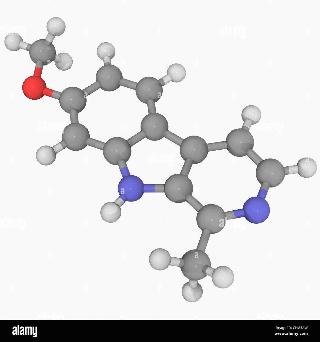 Harmine -Fotos und -Bildmaterial in hoher Auflösung – Alamy
