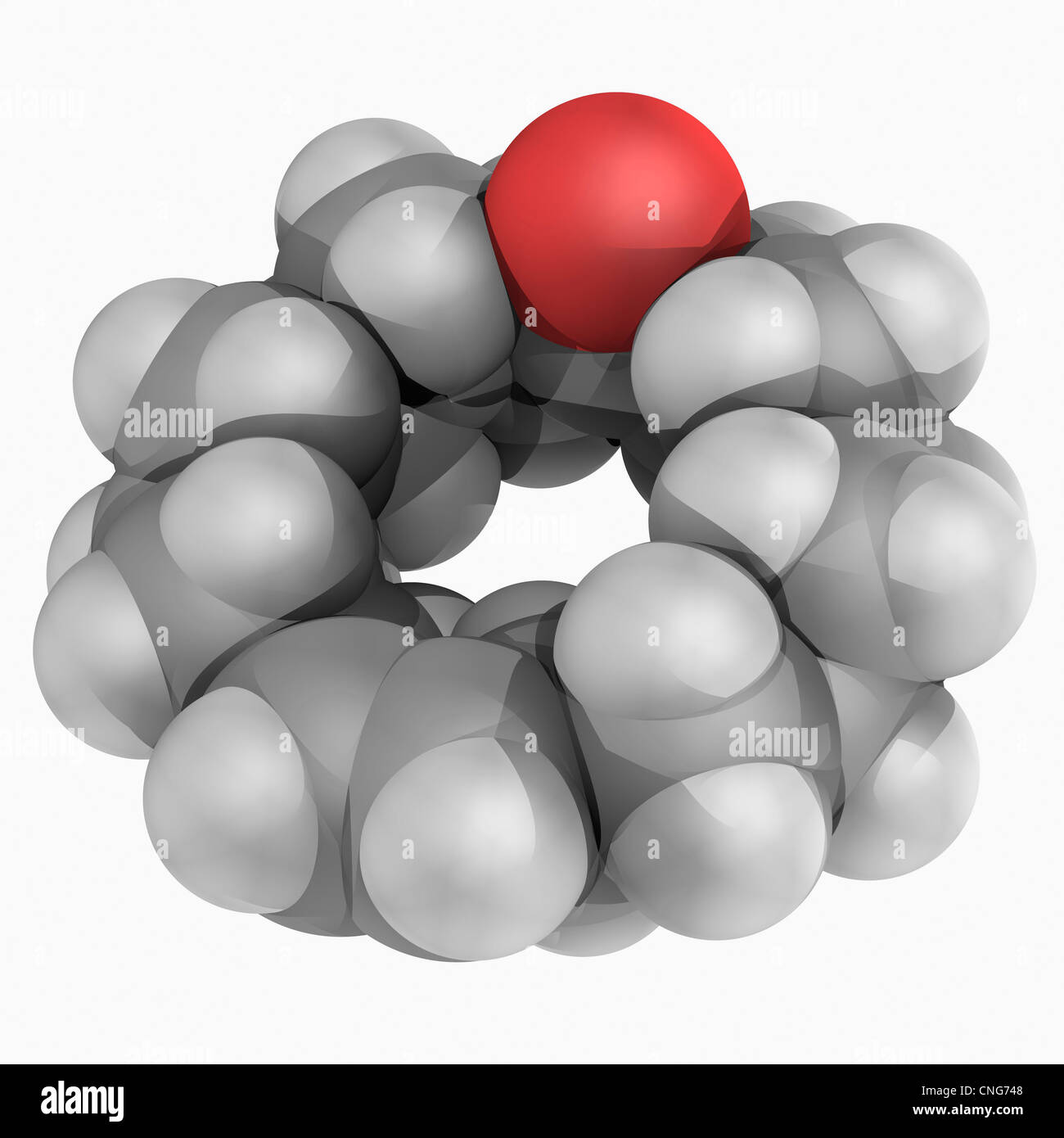 Civeton molecular -Fotos und -Bildmaterial in hoher Auflösung – Alamy