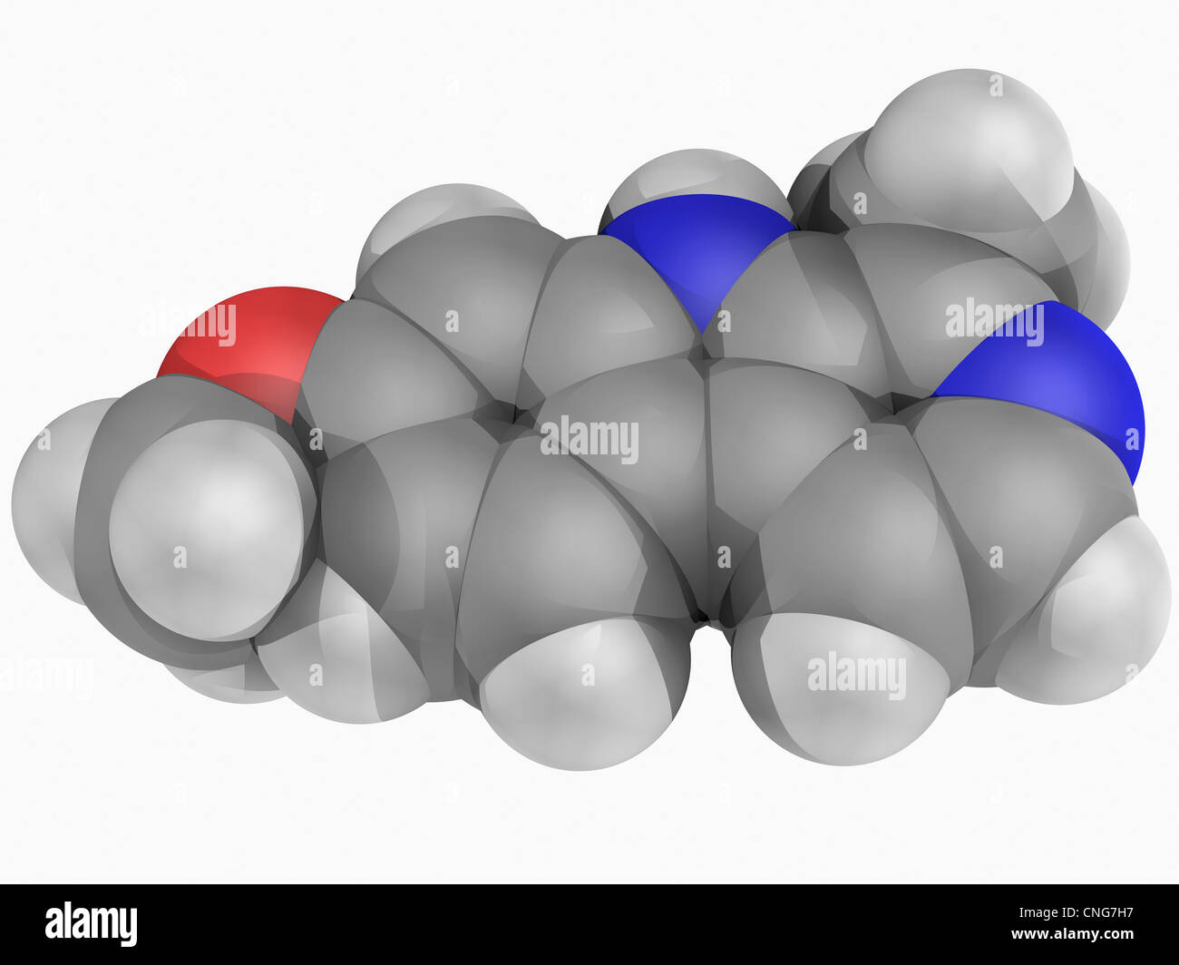 Harmine -Fotos und -Bildmaterial in hoher Auflösung – Alamy