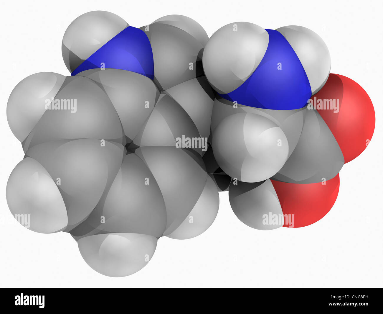 Tryptophan struktur -Fotos und -Bildmaterial in hoher Auflösung – Alamy